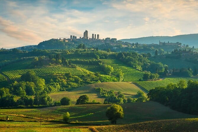 Semi Private Deep Wine Chianti and San Gimignano from Florence - Authentic Experiences That Render This Tour Truly Special
