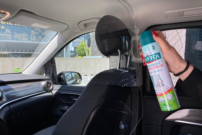Shuttle Transfer Arrivals: Madrid Airport to City Center
