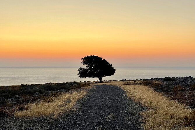Small group hiking from Pefkos to Navarone Bay at sunrise