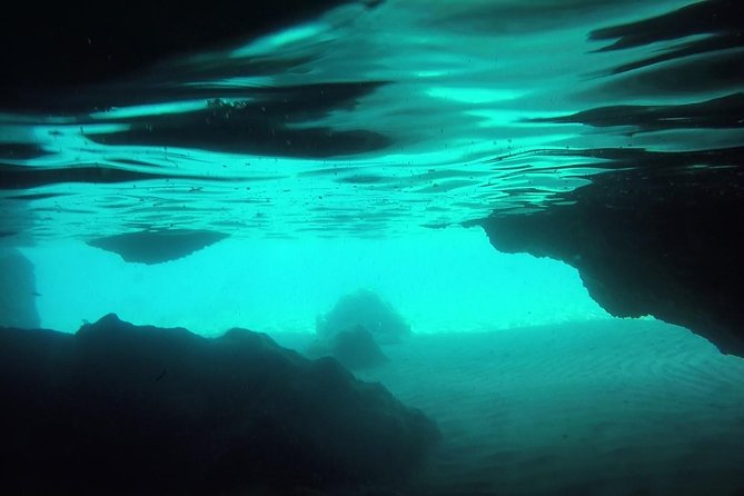 Snorkeling among the Underwater Caves of Ischia Ponte - Authentic Experiences and What You Might Expect