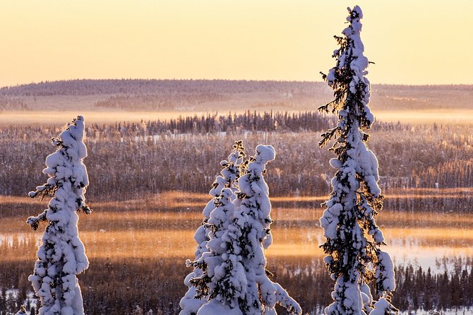 Snowmobile Driving - Morning start - Pricing and Value