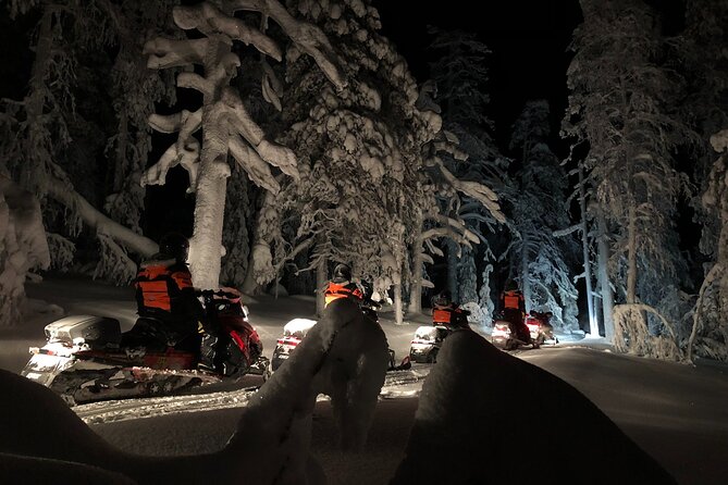Snowmobile Safari to Search for the Northern Lights - Real User Experiences: What Travelers Say