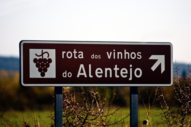 South Portugal Wine Route Private Full Day Tour from Lisbon - The Practicalities: Transportation, Timing, and Value