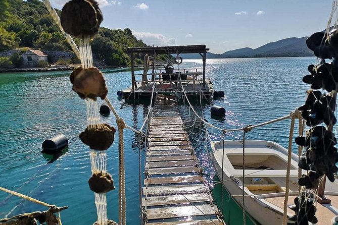 Ston Gastro Tour - Who Would Love This Tour?