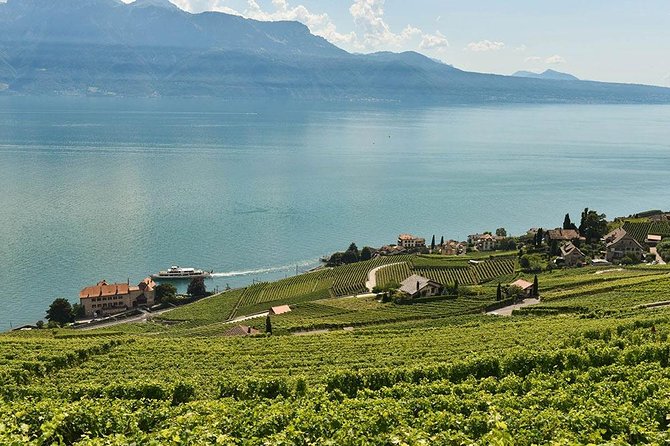 Swiss Wine Tasting at Lavaux Vineyards: Private Trip from Geneva