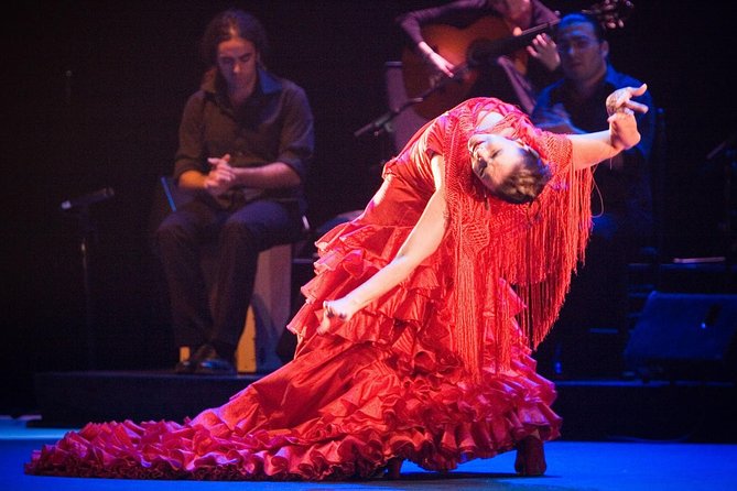 Tapas and Wine Walking Tour with Optional Flamenco Experience - Who Will Love This Tour?