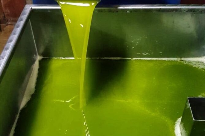 Tarragona: History & Olive Oil tasting from Barcelona - An Overview of the Experience