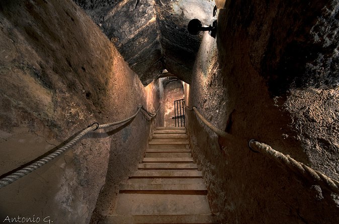 TASTE THE TREASURES from RIBERA DEL DUERO in a SUBTERRANEAN wine Cellar - A Closer Look at the Experience