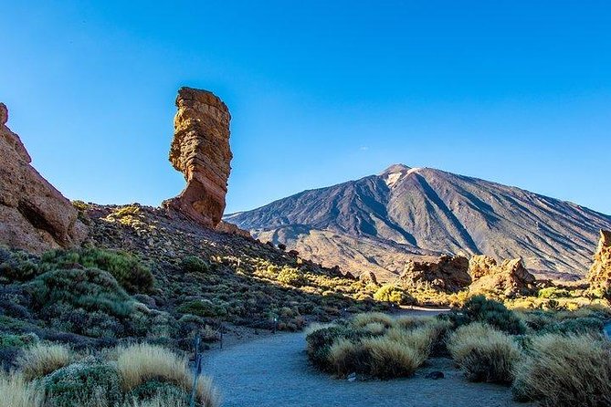 Teide-Icod-Garachico-Masca (Most popular bus tour in Tenerife) - Detailed Review of the Tour Experience