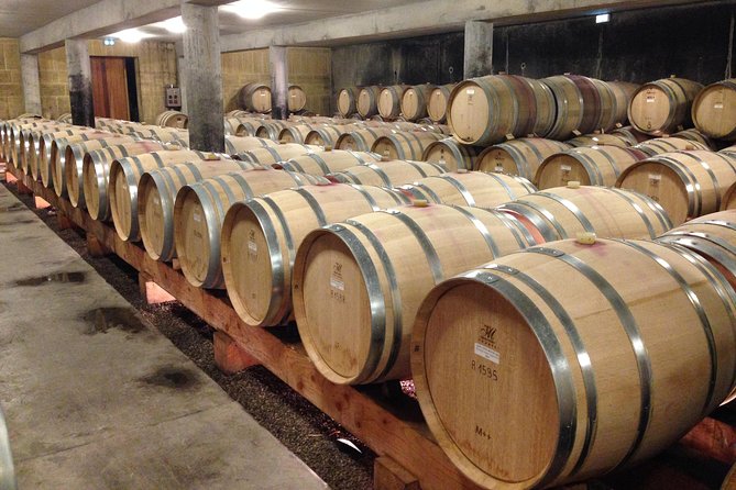 The Original Syrah Wine Tour (9:00 am - 1:30 pm) - Small Group Tours from Lyon - The Scenic Journey and Historic Stops