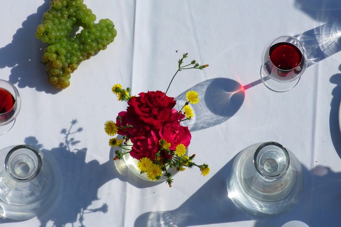 The wine route by bike - Authentic Experiences and Real Reviews