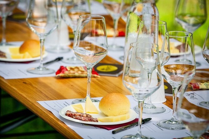 Tour and 3 wines tasting in the Prosecco Hills