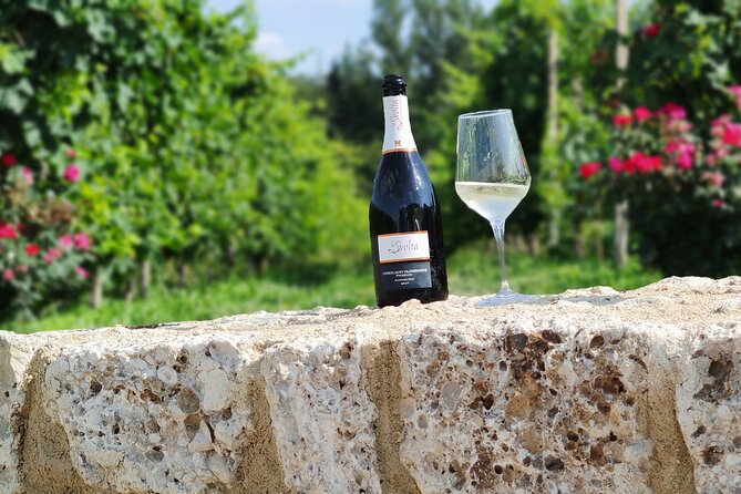 Tour and tasting in the hills of Prosecco Superiore DOCG - What makes the winery special?