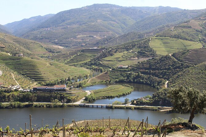 Tour the Douro wine region, and discover the fantastic landscape - Private Vineyard Visit and Wine Tasting