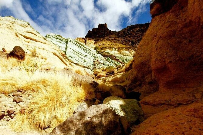 Tour to Mogán, La Aldea & Las Canteras - Big Island tour - The Experience From Traveler Perspectives