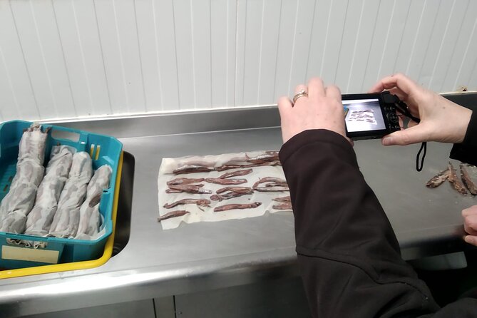 Tour to the Anchovies Factory and Santoña Marshes with Tasting - Visiting the Can Factory: A Step into the Industry