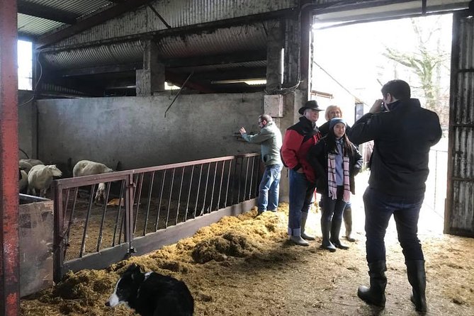 Tour Wicklow Mountains National Park in a limo with private guide - Final Thoughts: Is This Tour Right for You?