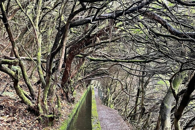 Transfer Rabacal 25 Fontes & Risco Levada Self-Guided - Who Will Love This Tour?