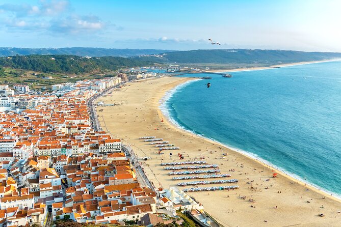 Transfer Tour Porto/Lisbon with 2 stops options Óbidos, Nazaré, Fátima, Coimbra - The Experience: Transport and Comfort