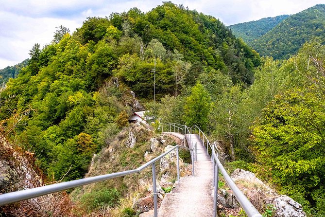 Transylvania Day Trip from Bucharest: In Search of Count Dracula - Who Should Consider This Tour?