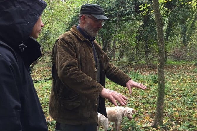 Truffle hunt, Lunch, Horse riding, a top half-day near Florence - What’s Included and Why It Matters