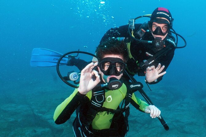 Try Scuba Diving in a turtle area (boat)