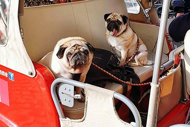 Tuk tuk Lisbon a discovery à la carte without fatigue. Lisbon differently.01 - What You Get and What You Don’t