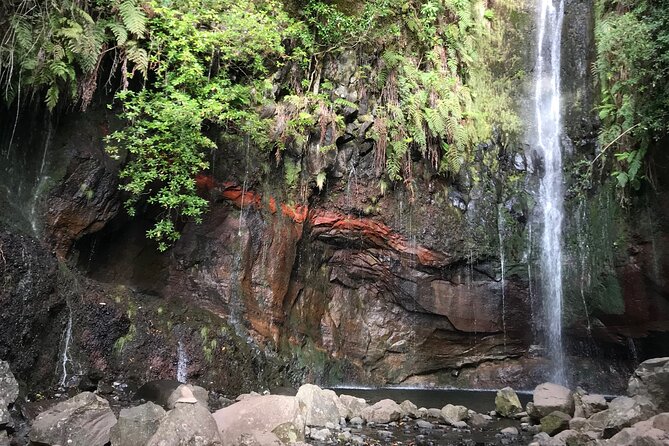 Twenty-Five Fountains Levada walks (private) - What to Expect from the Tour