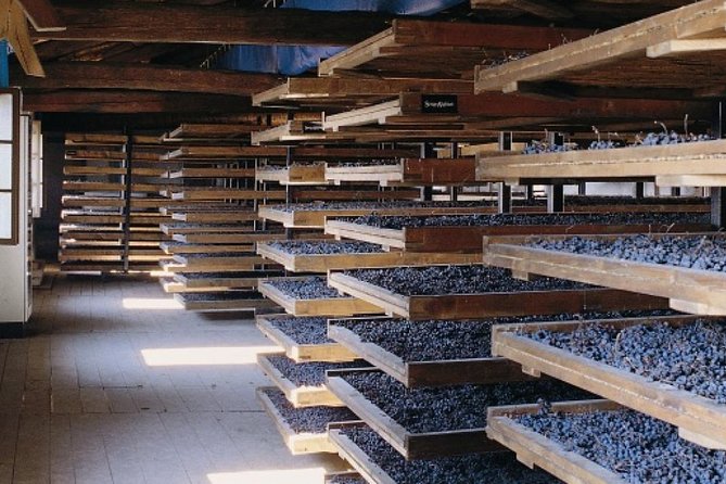 Valpolicella - The wine paradise - Itinerary Breakdown