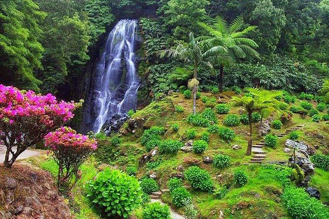 Van Tour Nordeste - Who Would Love This Tour?