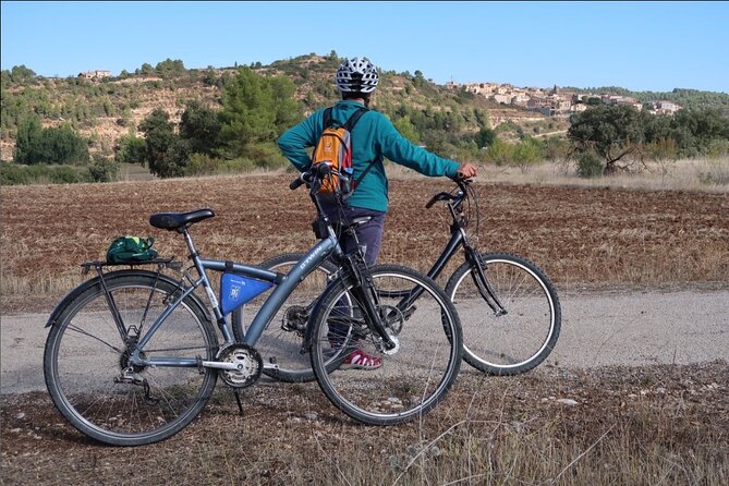 Via Verde Cretes - Pinell de Brai 27km (90% dec. 10% flat) - Who Should Book This Tour?
