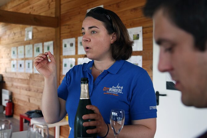 VIP Champagne Region Day Trip with 7 Tastings & Lunch from Paris - A Deep Dive into the Tour Experience