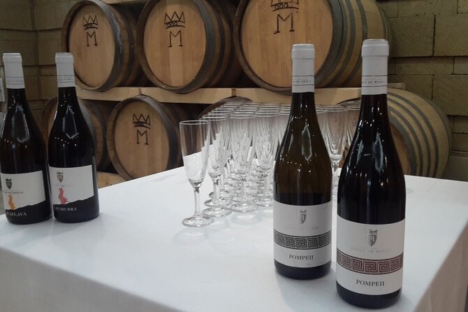 Visit 2 wine producers with tasting and transportation included - Worth the Price? Analyzing the Value