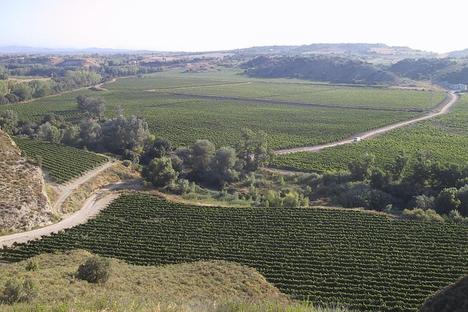 Visit and wine tasting at BODEGA PIRINEOS - Who Will Love This Tour?