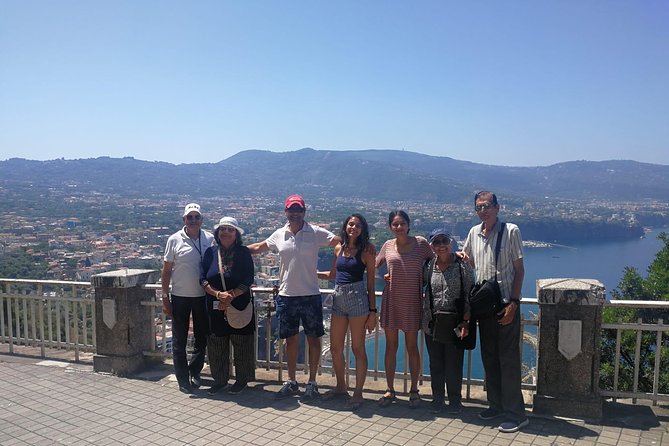 Visit Herculaneum with an expert professional guide (2/3 hours)