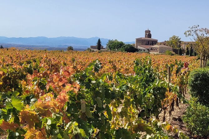 Visit of Marques de Riscal & Boutique Winery from Bilbao - Who Would Enjoy This Tour?