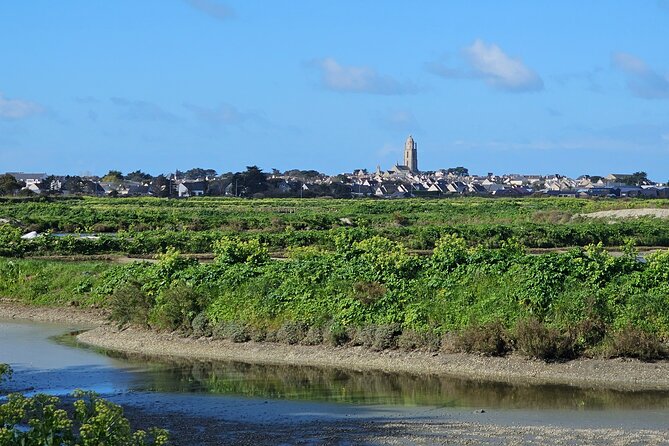 Visit to Saline - Guérande Salt Marshes