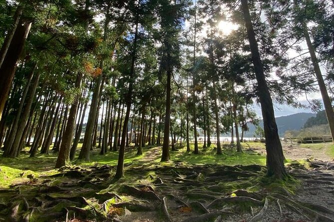 Volcano of Fogo and Furnas Private Tour - Practical Considerations & Tips