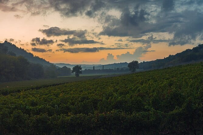 Wine Tasting by CarusVini in San Casciano in val di Pesa - Who Will Love This Experience?