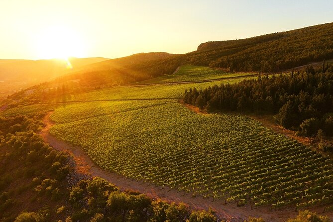 Wine Tasting Grabovac Tour From Makarska