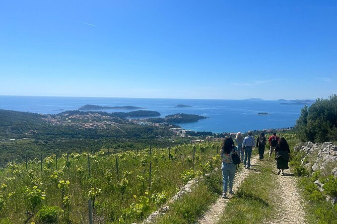 Wine Tasting in Konavle, Near Dubrovnik & Cavtat Join Us! - The Tour and What to Expect