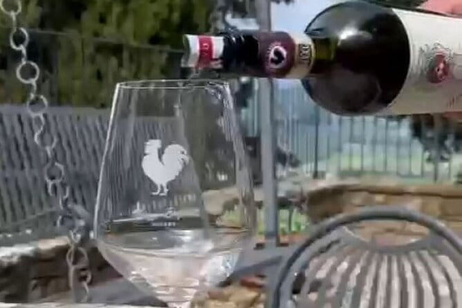 Wine tasting in TWO family wineries around Florence - What To Expect From The Visit