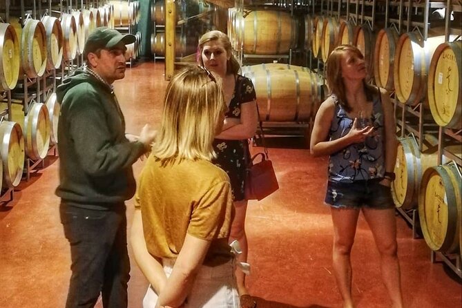 Wine Tasting Private Tour & The Royal Palace in Sinaia from Bucharest - Dive into the Details of the Tour