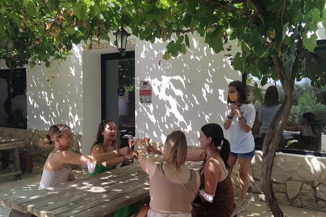 Wine tasting tour - The Experience: What to Expect at Each Step