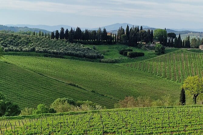 Wine Tour 6 hours 2 top wineries of Chianti Classico Limo Service - What We Loved and What to Keep in Mind
