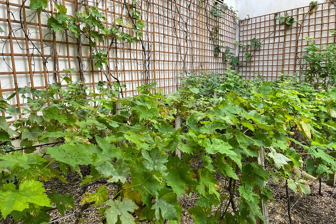 Wine Your Way Through the Marais - The Guide: Knowledge and Hospitality