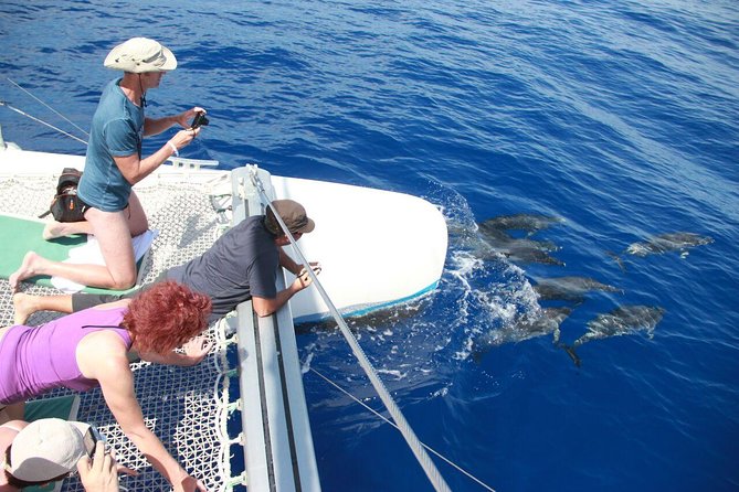 Wines Tasting Experience and Skywalk with Dolphin Watching