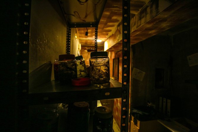 Xcape Room Bcn: The diary of Miko - Final Word