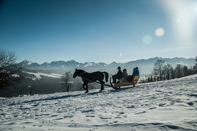 Zakopane and Horse Sleigh Ride in the countryside, private tour from Krakow - Who Will Love This Tour?