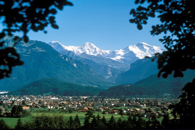 Zurich: Interlaken, Grindelwald & Harder Kulm Small Group Tour - Pricing and Value